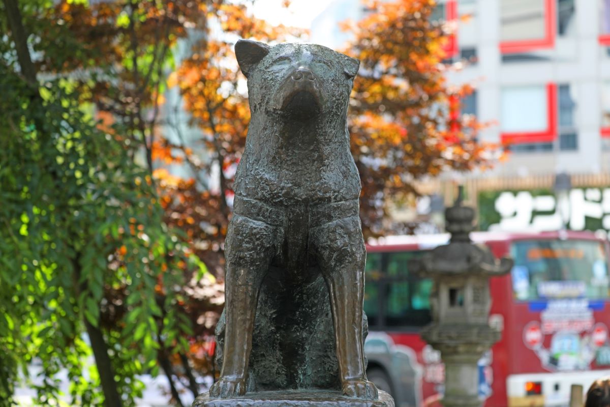 22 Awesome Things To Do In Shibuya - Japan Roads